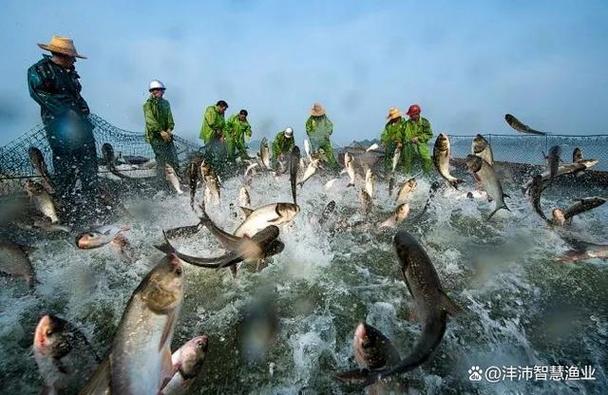 台湾鱼近海鱼业气象截图