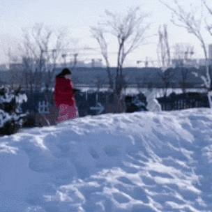 我的世界强制下雪图标