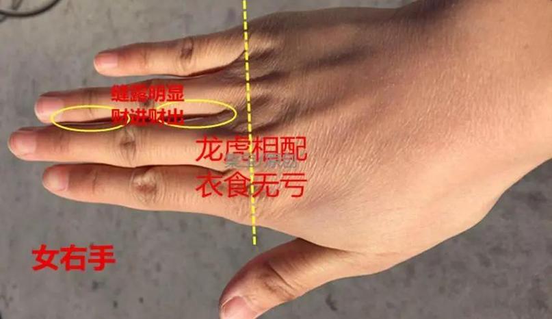 龙虎之争手纹