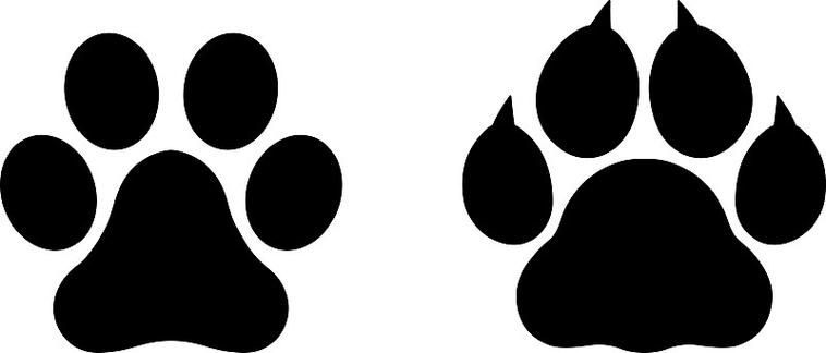 ౪ᩚ゜小猫符号图标