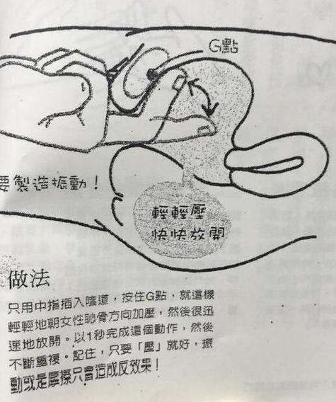 排精的方法有哪些截图