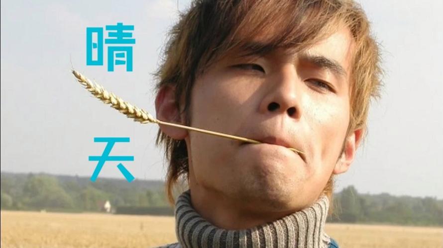晴天周杰伦演唱会图标
