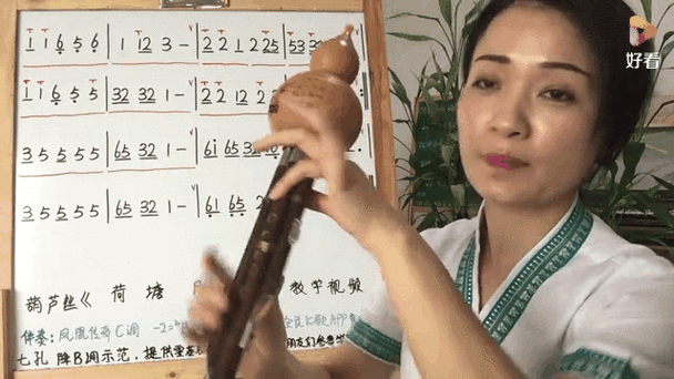 免费葫芦丝教学视频全集图标
