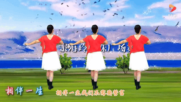 最火的广场舞视频2017截图