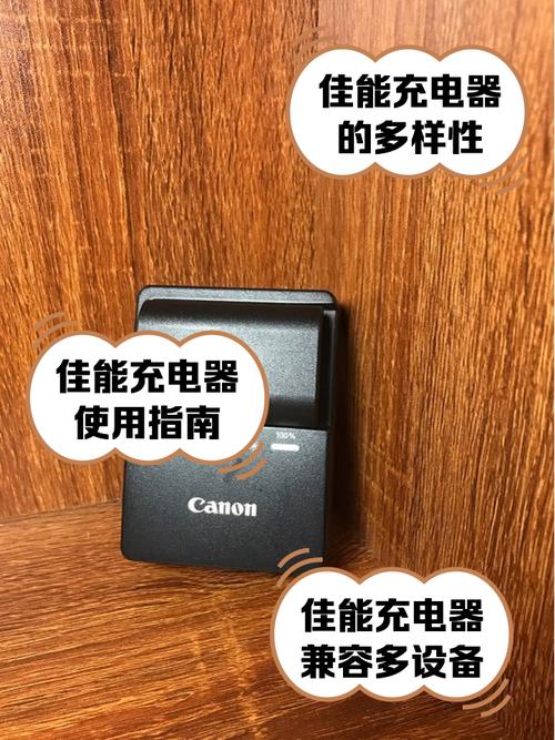 佳能60d电池充电指示灯截图