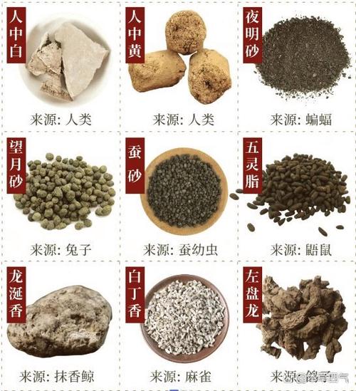 中草药大全一览表图标