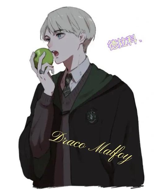 [HP|德拉科]跟班