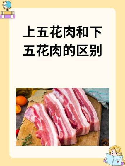 猪的上五花肉好还是下五花肉好图标