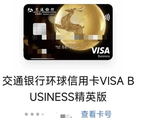 国内visa卡国外支付图标