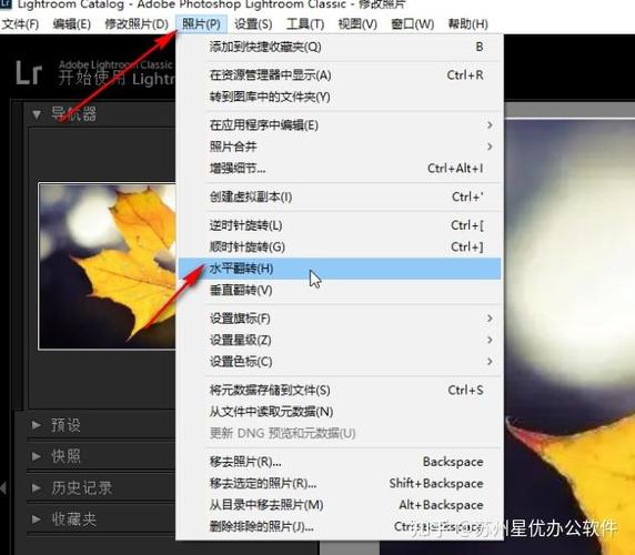 镜像翻转图片的软件截图