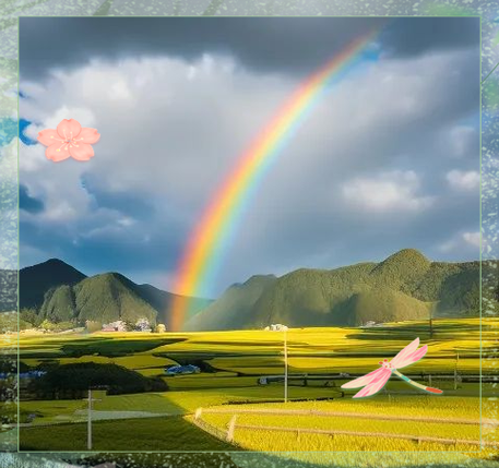 彩虹是什么意思图标