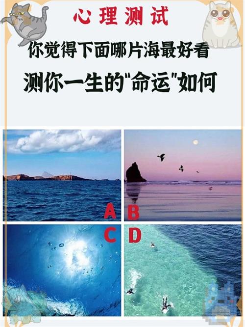 测测自己的命运图标