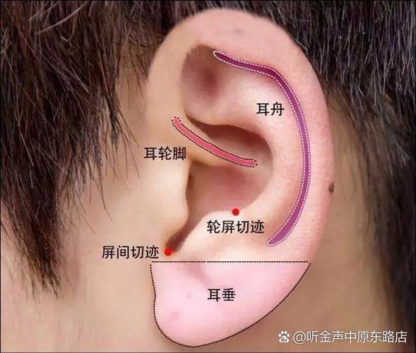 耳朵时不时闷闷的堵住的感觉图标