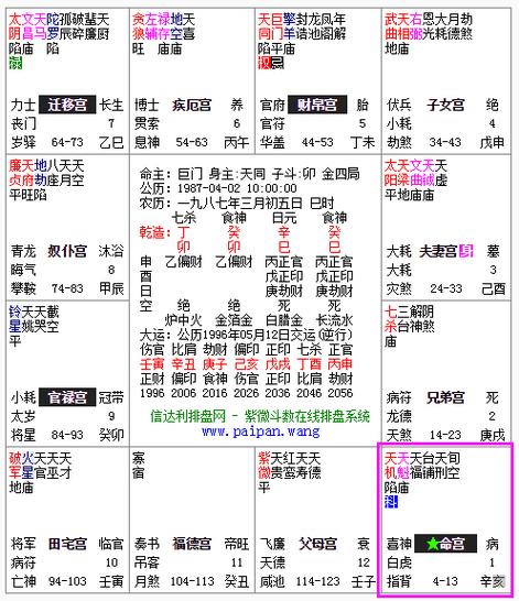 紫微斗数排盘软件哪个最精确图标