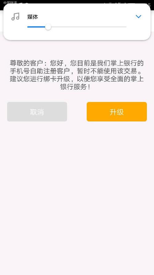 农行掌上银行无法绑卡升级