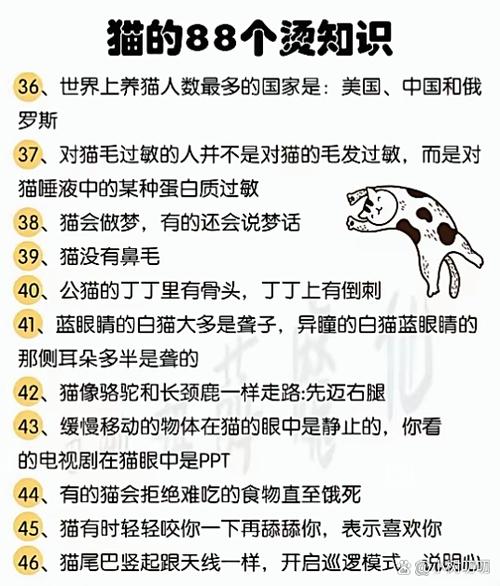 成年猫怎么看猫的年纪截图