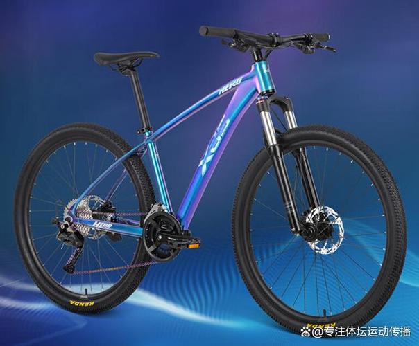 什么品牌自行车质量好耐用