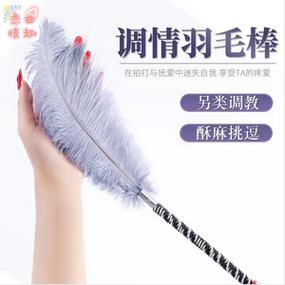 情趣羽毛刷子如何使用截图
