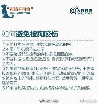 狗被咬伤能自己治愈吗图标
