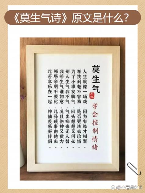 人生免费阅读全文图标