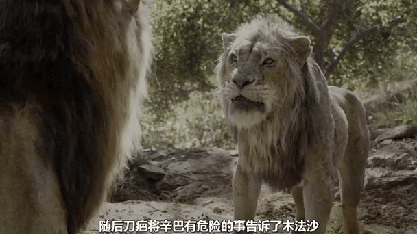央视动物世界去哪里看截图