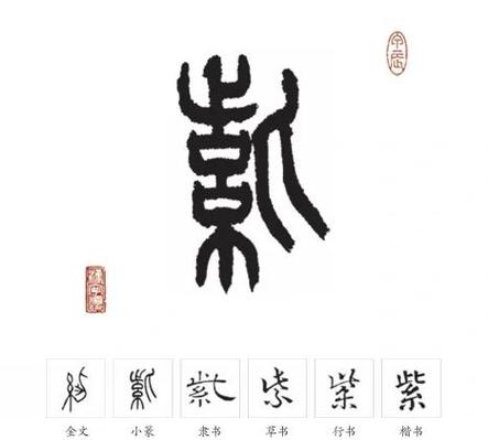 紫字演变过程图片图标