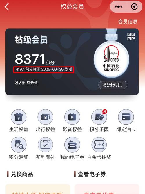 中国石化加油卡积分怎么算图标
