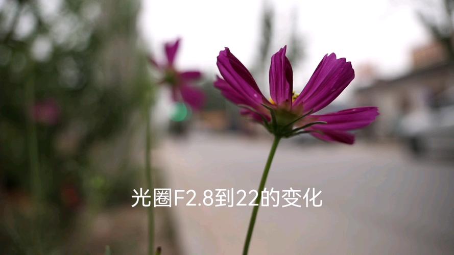 什么是大光圈和小光圈图标