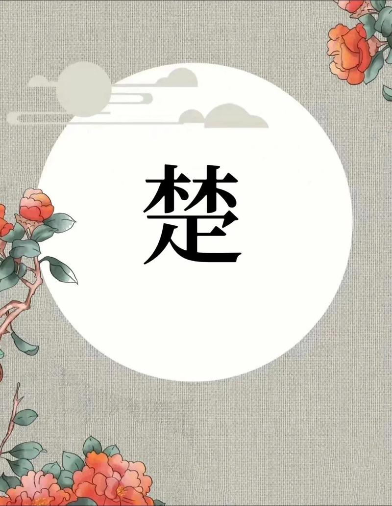 致命的你楚妍漫画全集免费20话缩略图