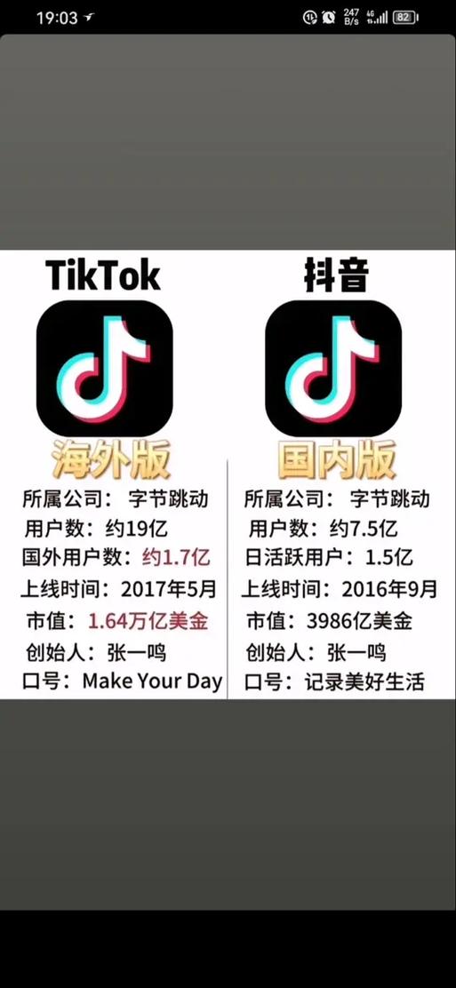 美版抖音图标