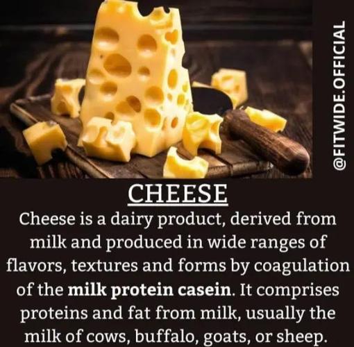 cheesemilk图标