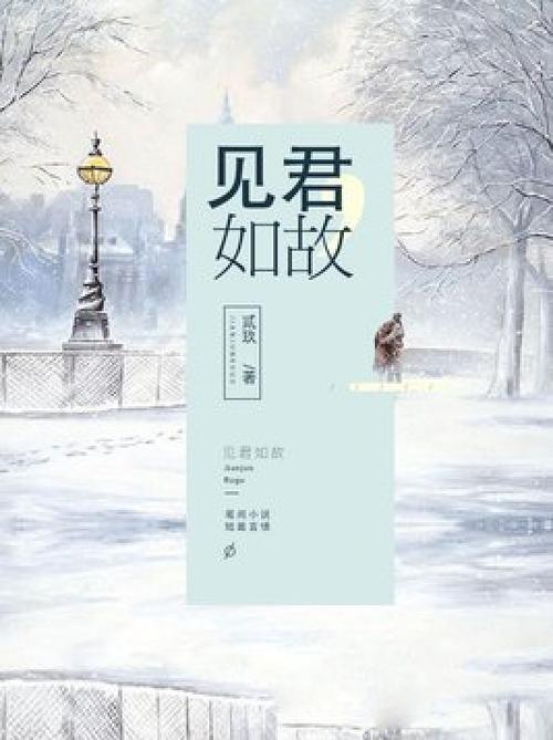见君如故截图