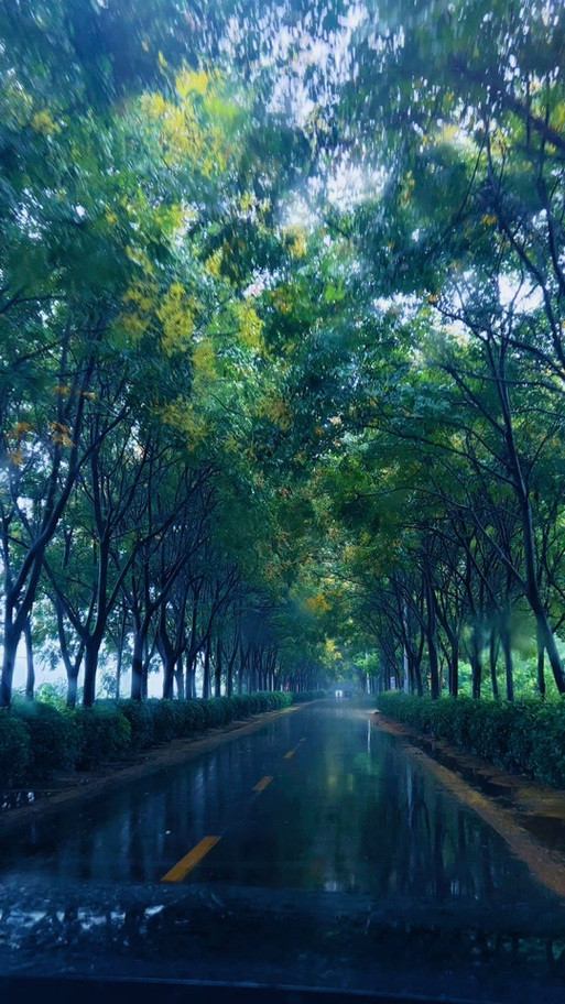 雨过后的风景下载mp3图标