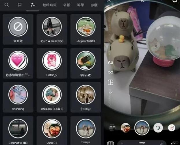 找不到instagram的滤镜图标