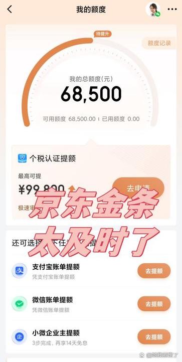 京东金条额度能调低吗图标