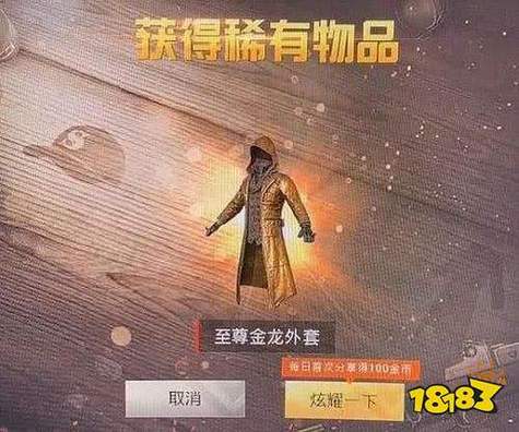 和平精英美化至尊金龙风衣图标