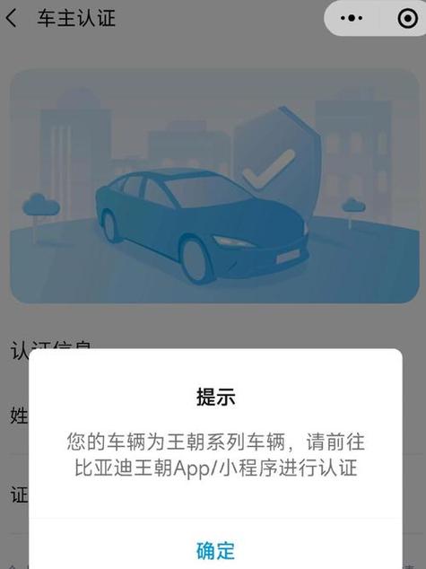比亚迪车主认证2个人图标