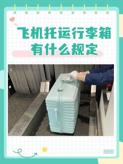 ps4的飞机托运方法图标