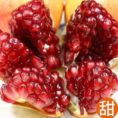 石榴籽颜色红黑图标
