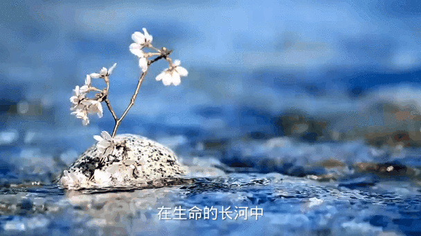 芊芊静听图标