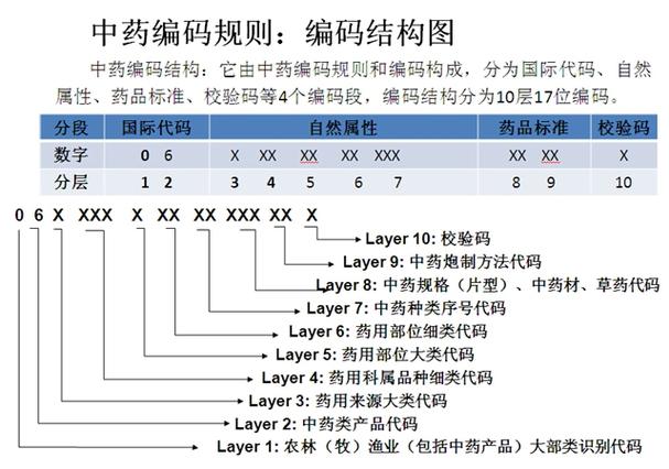 学校工号编码规则图标