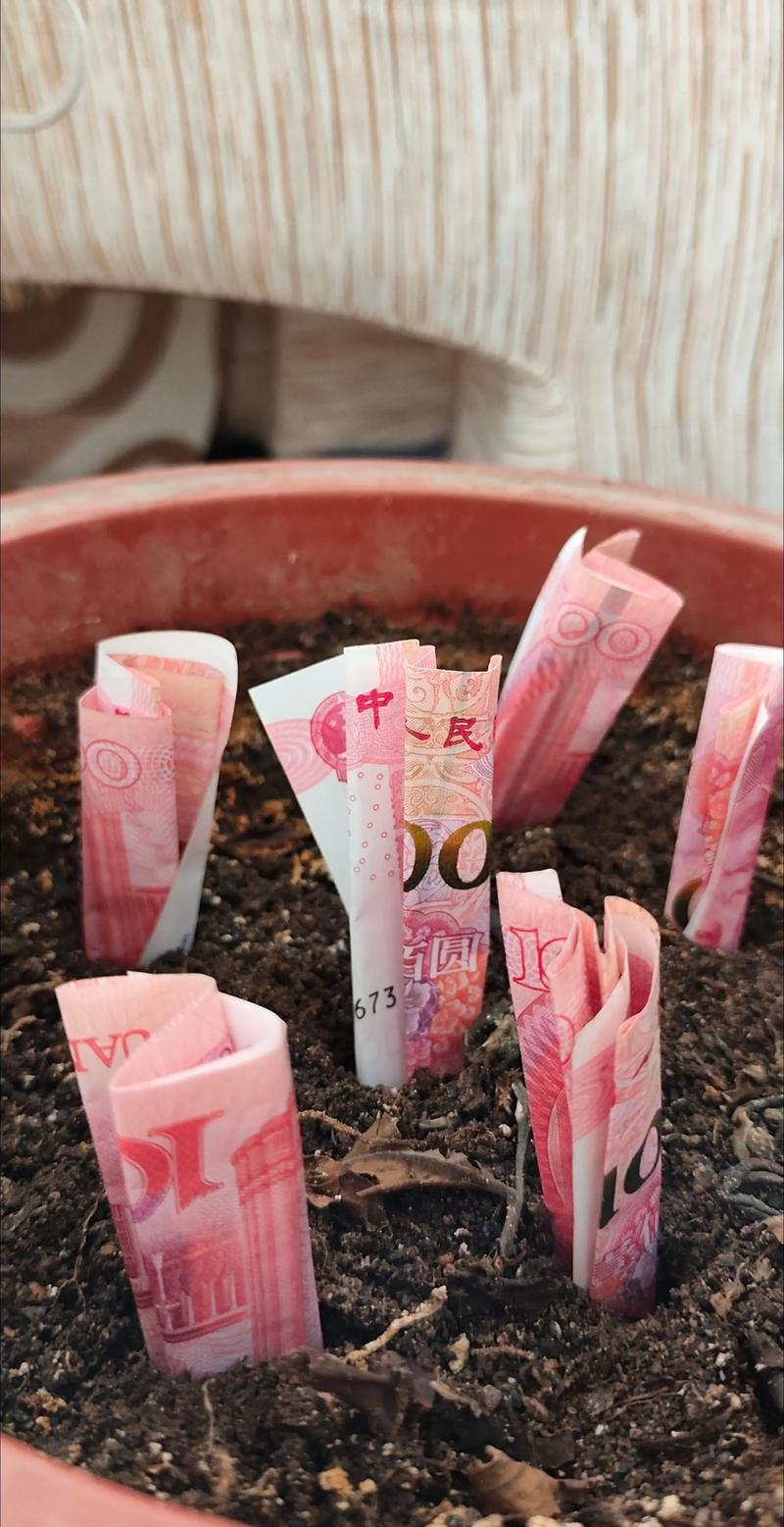 趣味种树赚钱现金图标