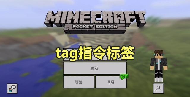我的世界怎么给玩家标签图标