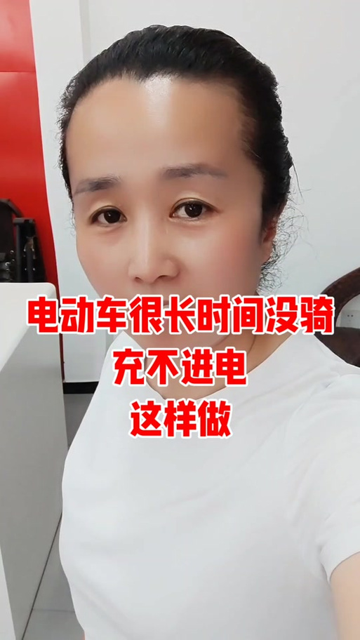 电瓶车放了一个月充不进电截图