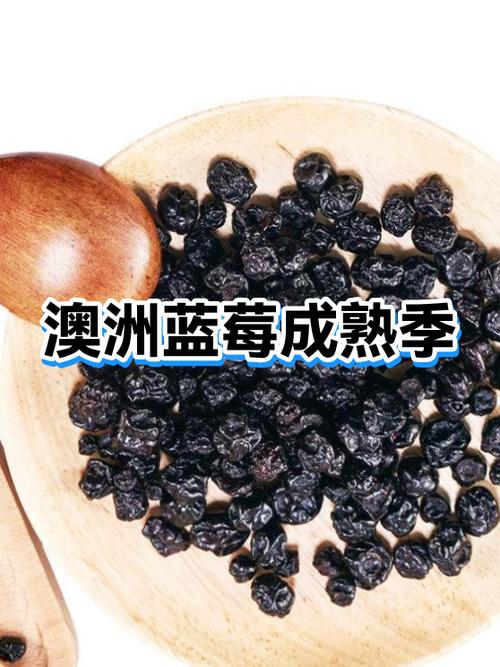 蓝莓产于哪个国家图标