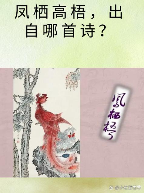 凤凰一般比喻什么女人图标