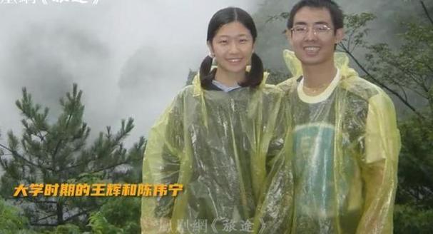 王辉老婆个人简历和成就图标