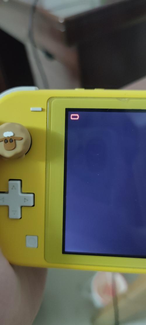 switch充电不开机
