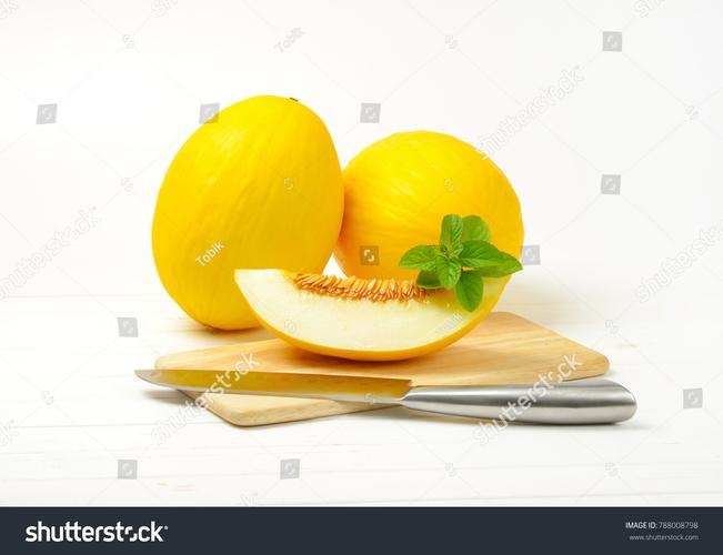 melonDS2.0图标