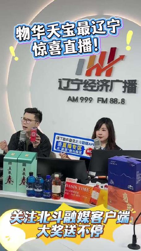 辽宁卫视北斗融媒直播图标